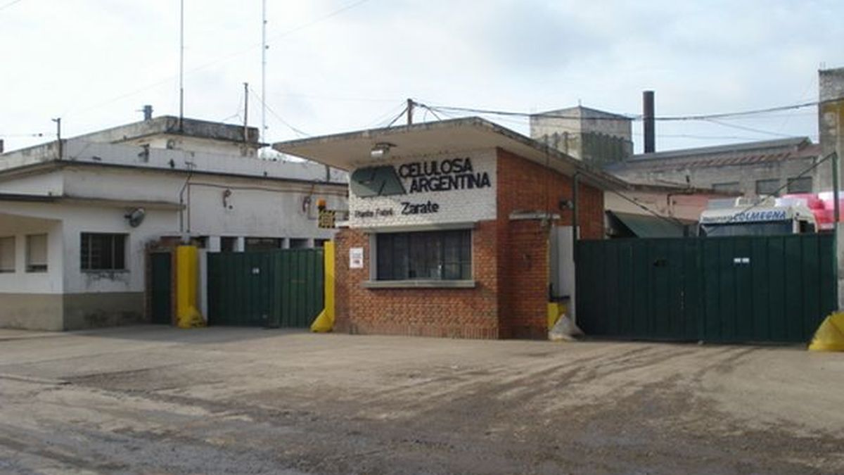Zárate en alerta máxima: Celulosa paraliza sus plantas en plena crisis financiera