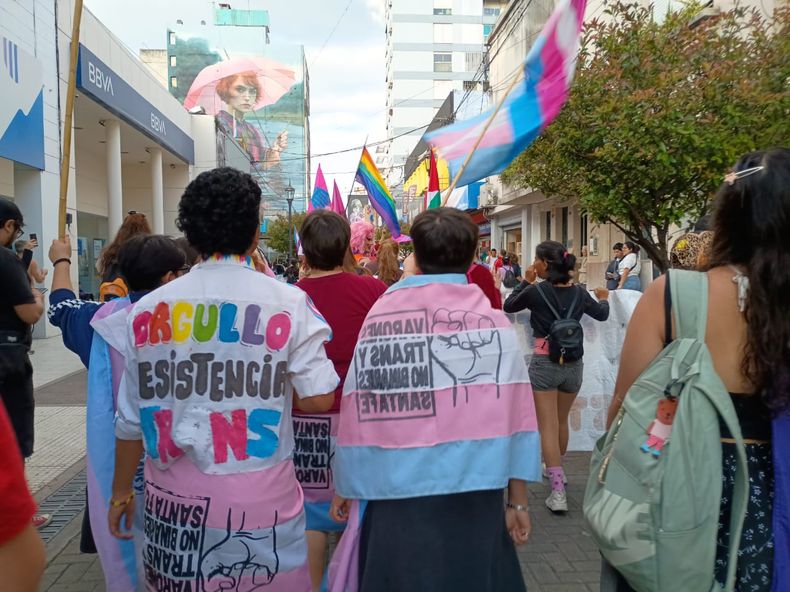 VII Marcha del Orgullo en San Nicolás: color, memoria y demandas que ...