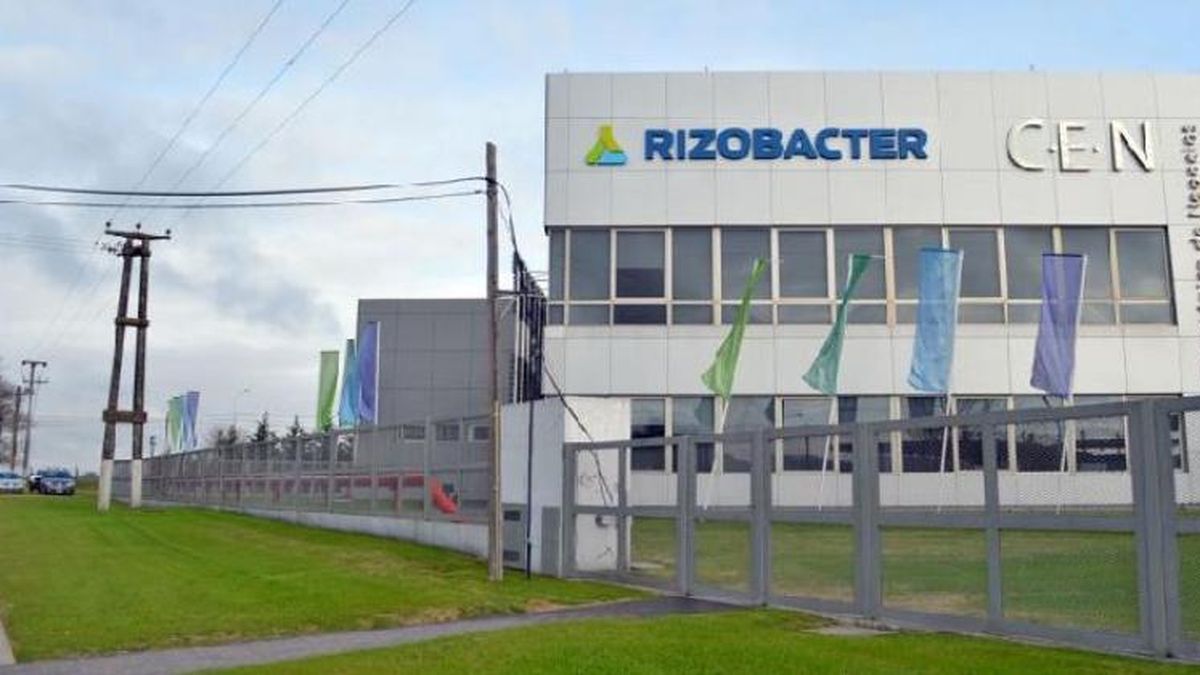 Rizobacter llegó a México, un mercado clave en biosoluciones y adyuvantes