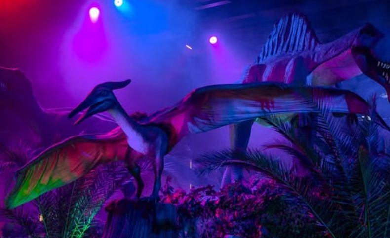 Está grave el bebé prematuro de la mujer embarazada que murió de un ...