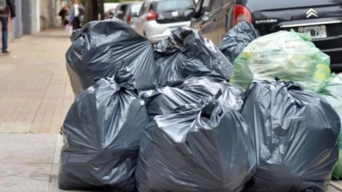 Cronograma del servicio de recolección de residuos voluminosos para ...