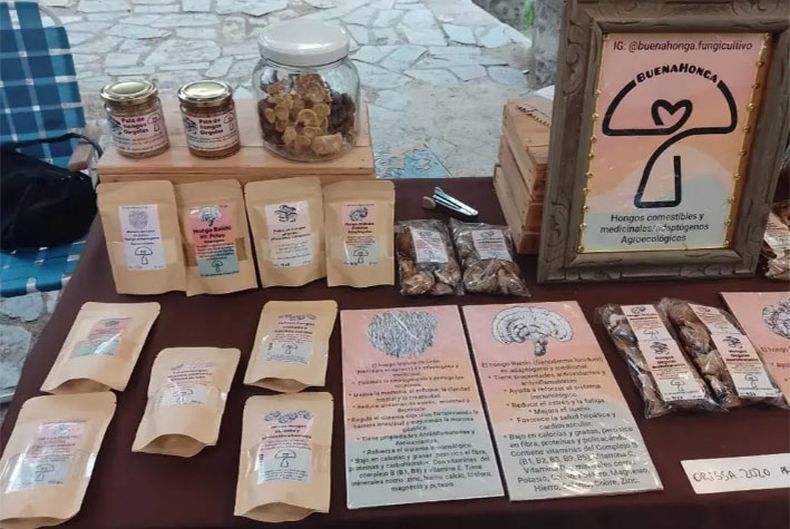 De unas vacaciones en San Luis a crear Buena Honga: el emprendimiento ...
