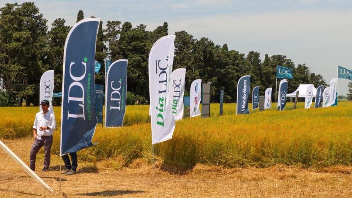 Tendencias, innovación y sustentabilidad, los ejes de Día LDC en Pergamino