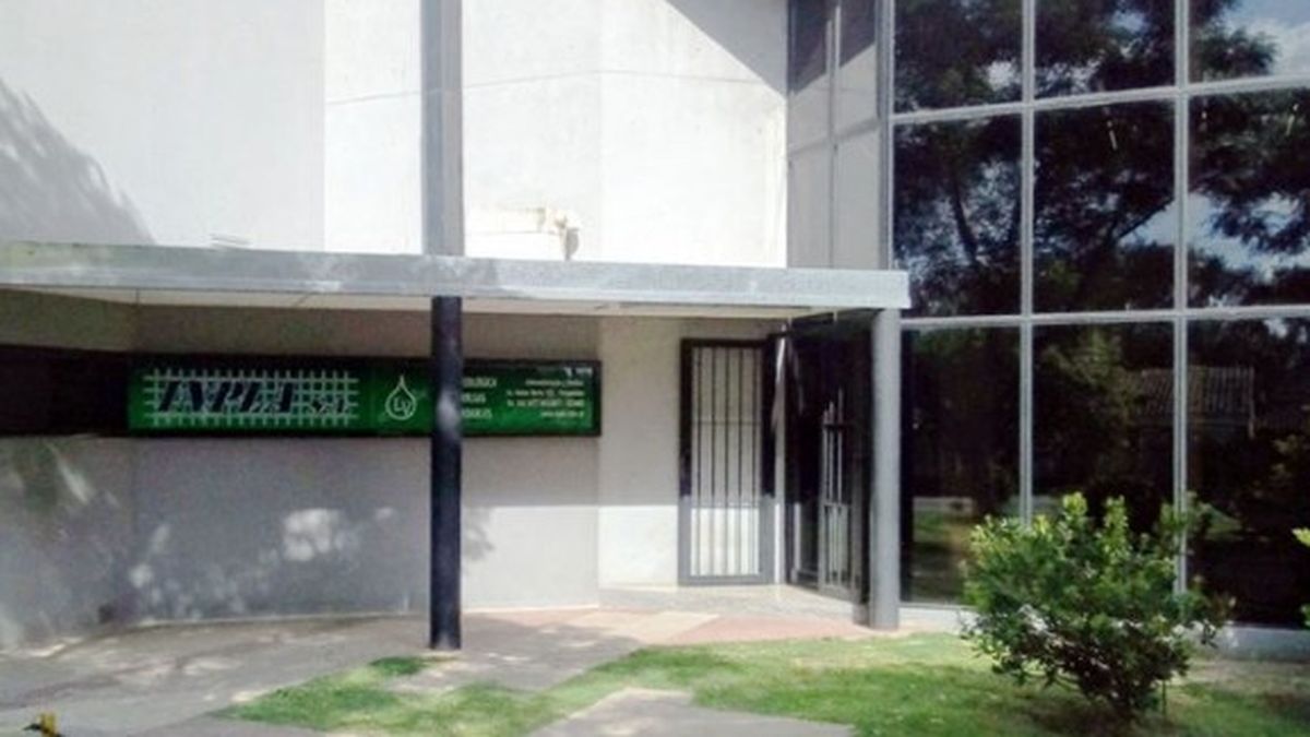 Fin del cepo al dólar: Inpla postergó pedidos por horas ante la ...