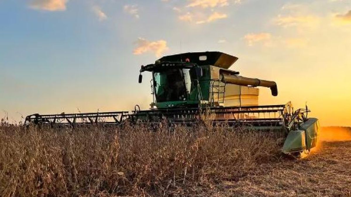 La cosecha de soja arrancó con buenos rindes, pero se trata del 3% de ...