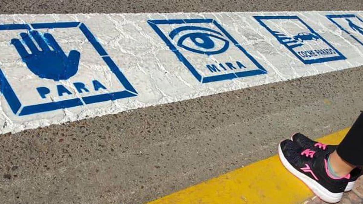 Promueven la utilización de pictogramas para favorecer la inclusión en ...
