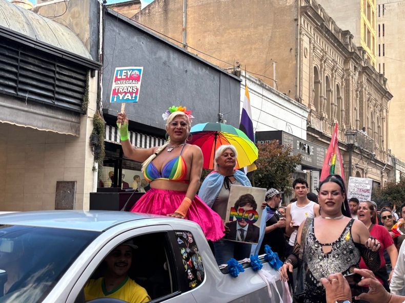 VII Marcha del Orgullo en San Nicolás: color, memoria y demandas que ...